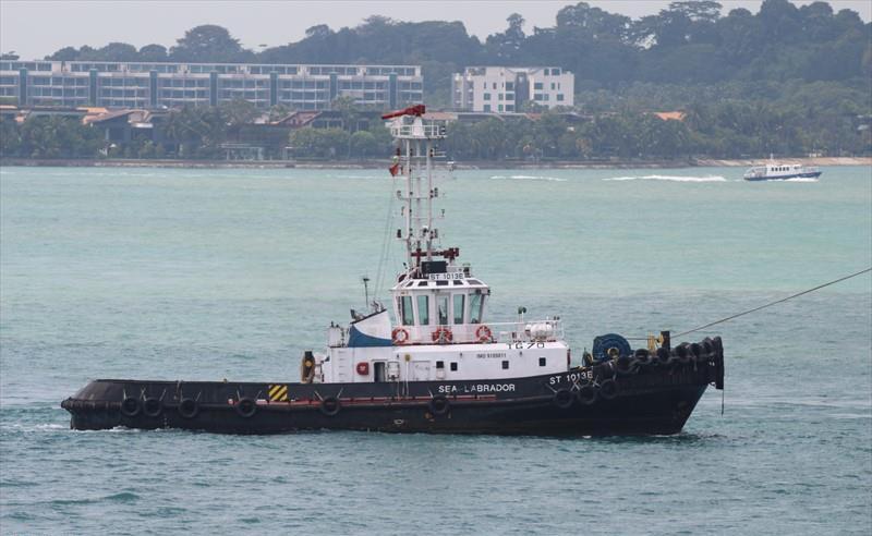 SLM LABRADOR - Vesseljoin