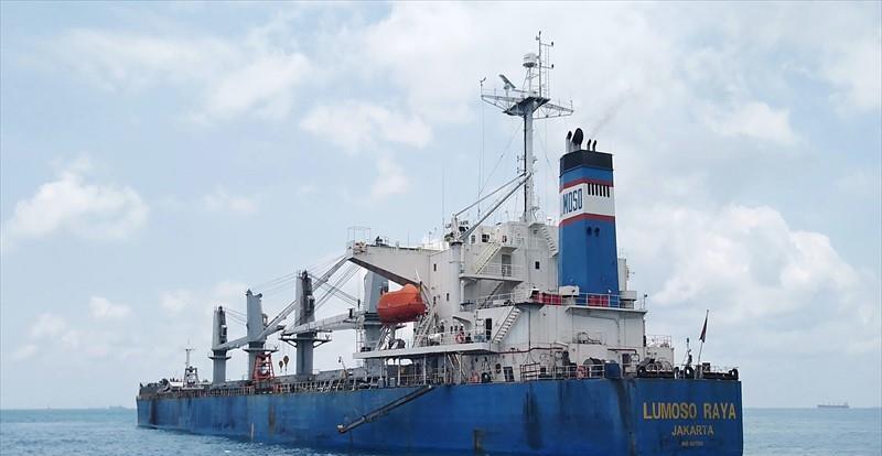 LUMOSO RAYA - Vesseljoin