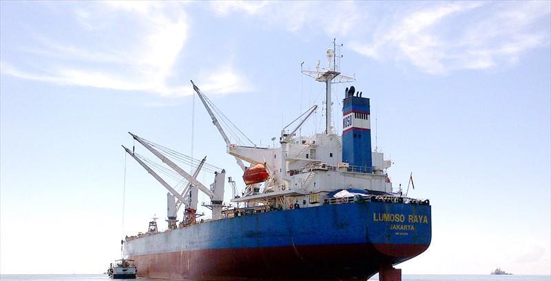 LUMOSO RAYA - Vesseljoin