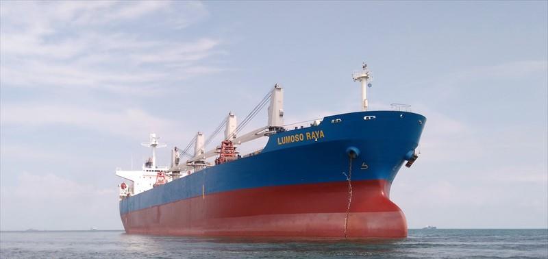 LUMOSO RAYA - Vesseljoin