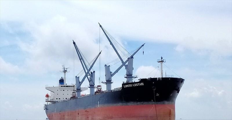 LUMOSO LESTARI - Vesseljoin