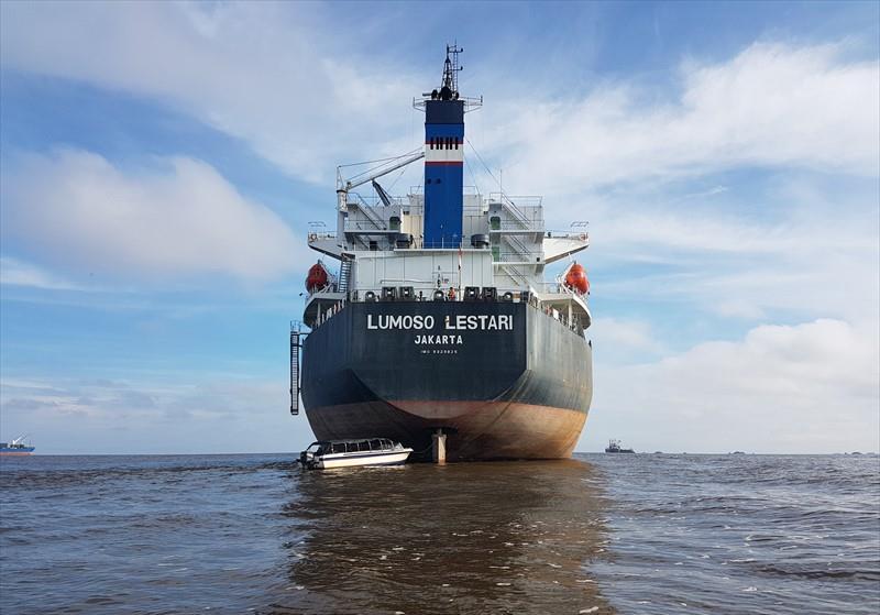 LUMOSO LESTARI - Vesseljoin