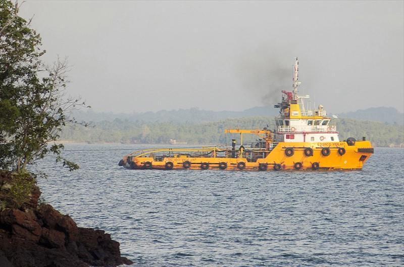 LOGINDO VIGILANT - Vesseljoin