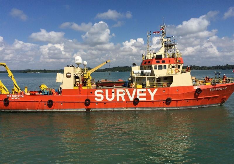 EGS SURVEYOR - Vesseljoin