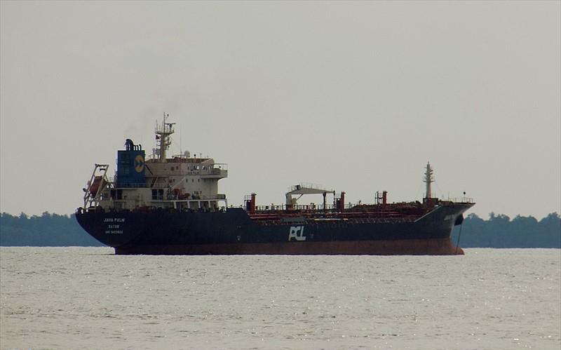 JAVA PALM - Vesseljoin