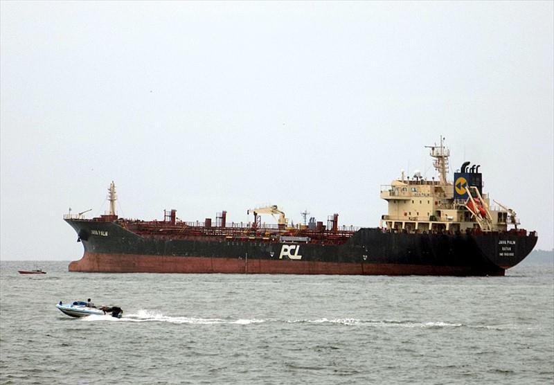 JAVA PALM - Vesseljoin