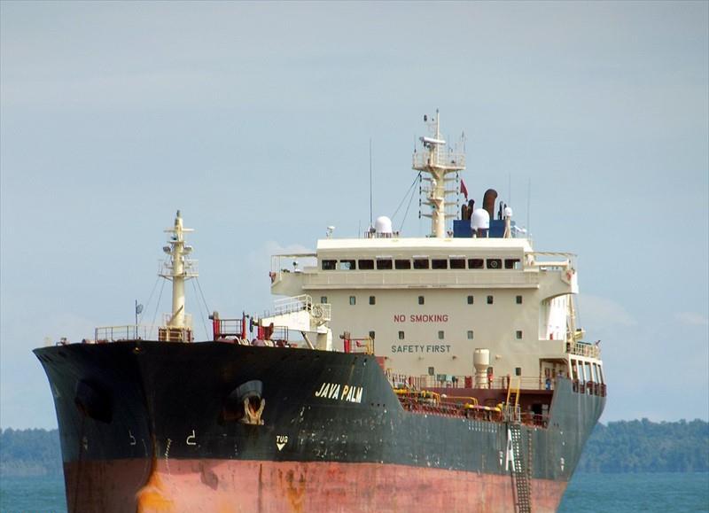 JAVA PALM - Vesseljoin