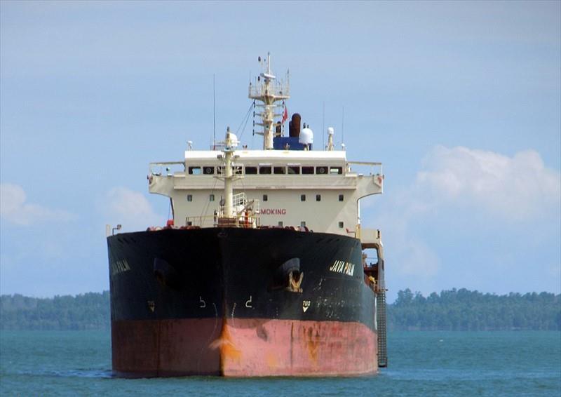 JAVA PALM - Vesseljoin