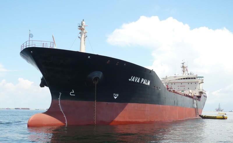 JAVA PALM - Vesseljoin