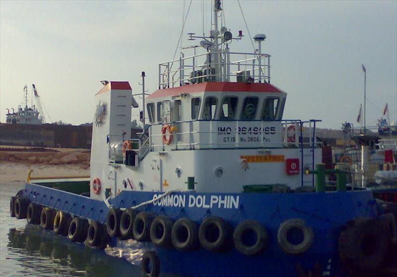 COMMON DOLPHIN - Vesseljoin