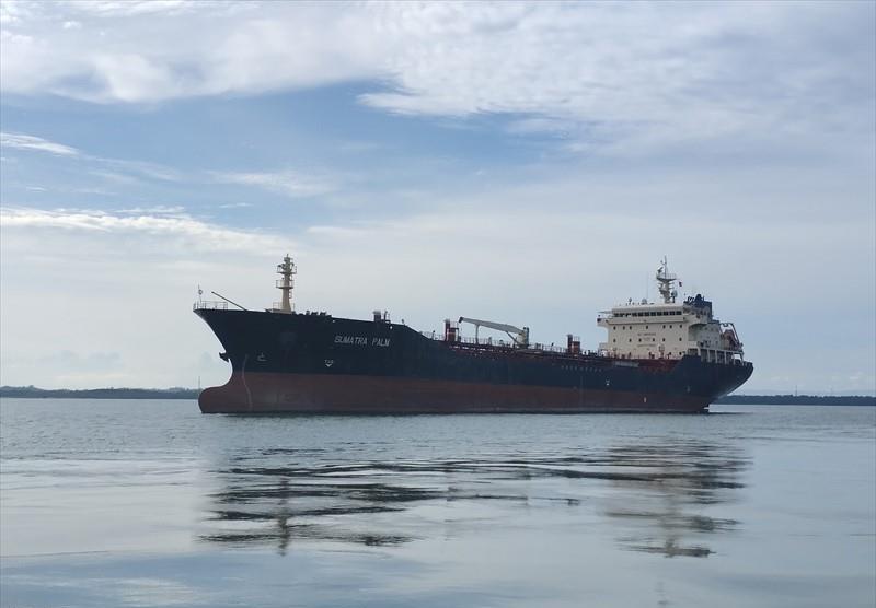 SUMATRA PALM - Vesseljoin