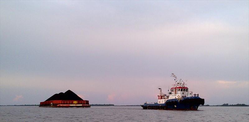 TW MAPLE - Vesseljoin