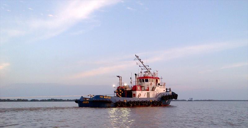 TW MAPLE - Vesseljoin