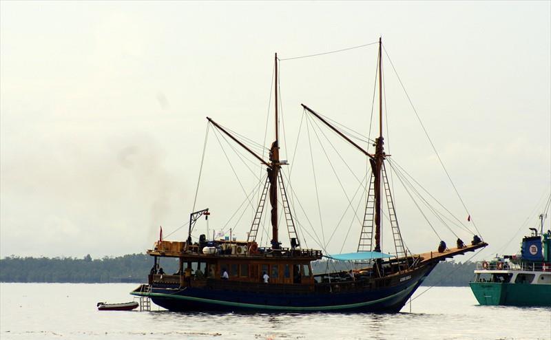 KM TIGER BLUE - Vesseljoin