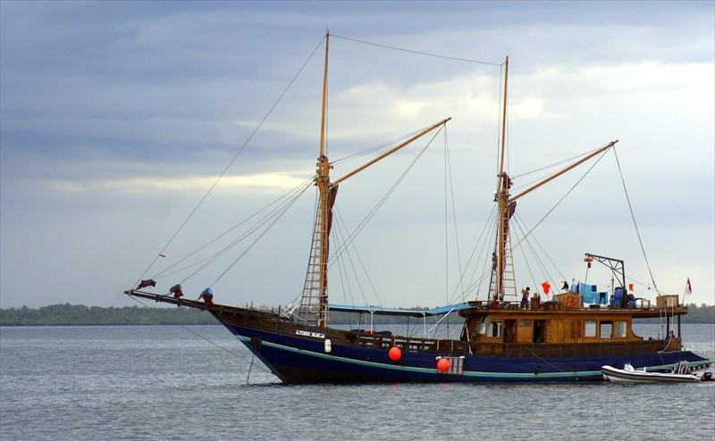 KM TIGER BLUE - Vesseljoin