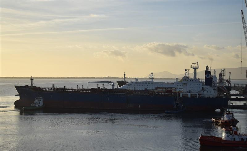 BULL SUMBAWA - Vesseljoin