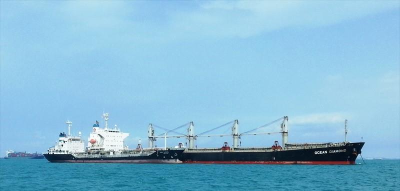 LUMOSO HARMONI - Vesseljoin