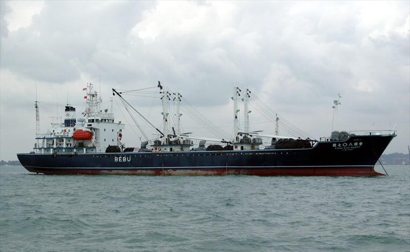 XIN RUI - Vesseljoin