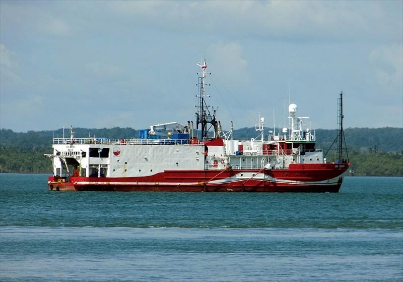 JAVA INSIGNIA - Vesseljoin