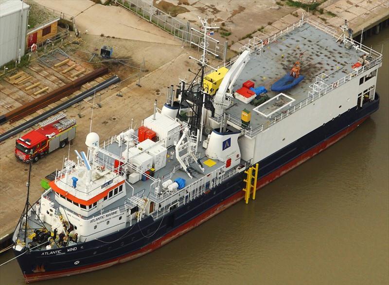 JAVA INSIGNIA - Vesseljoin