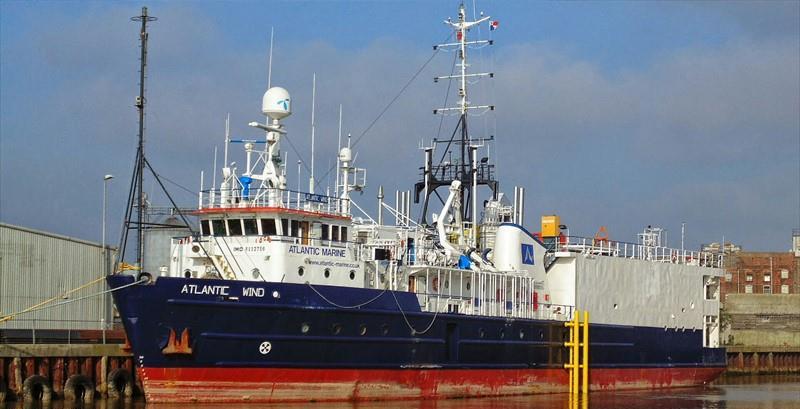 JAVA INSIGNIA - Vesseljoin