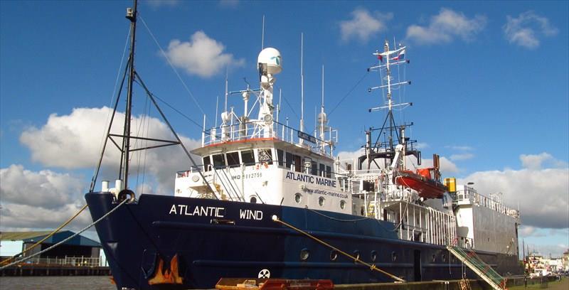 JAVA INSIGNIA - Vesseljoin