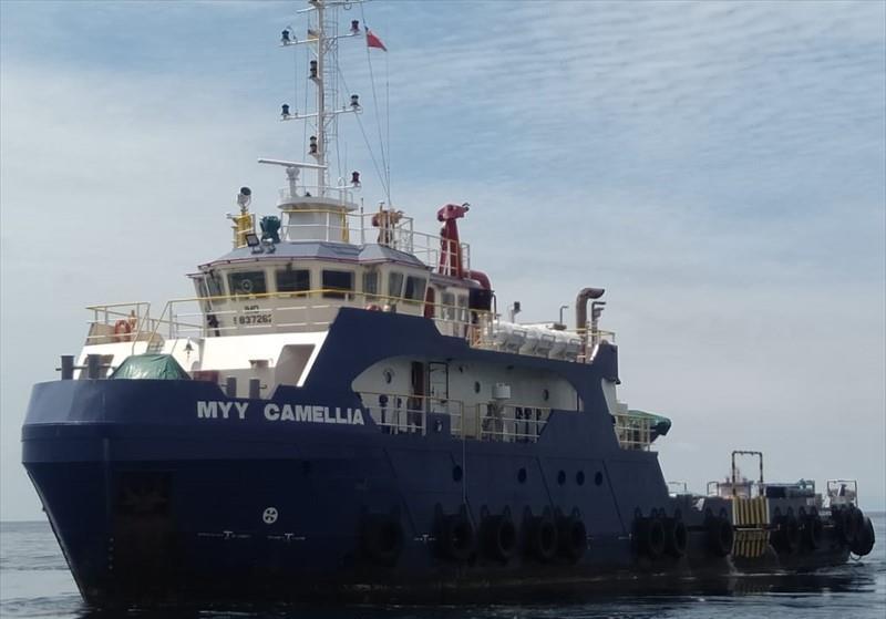 MYY CAMELLIA - Vesseljoin