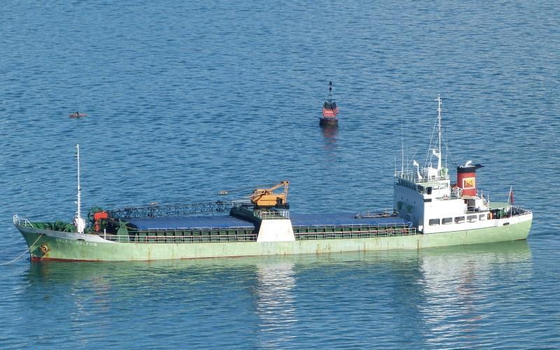 CELTIC DOLPHIN - Vesseljoin