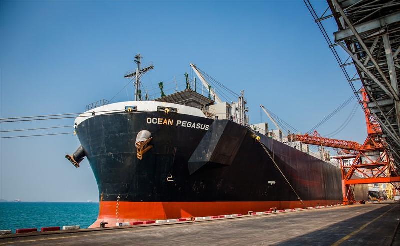 OCEAN PEGASUS - Vesseljoin