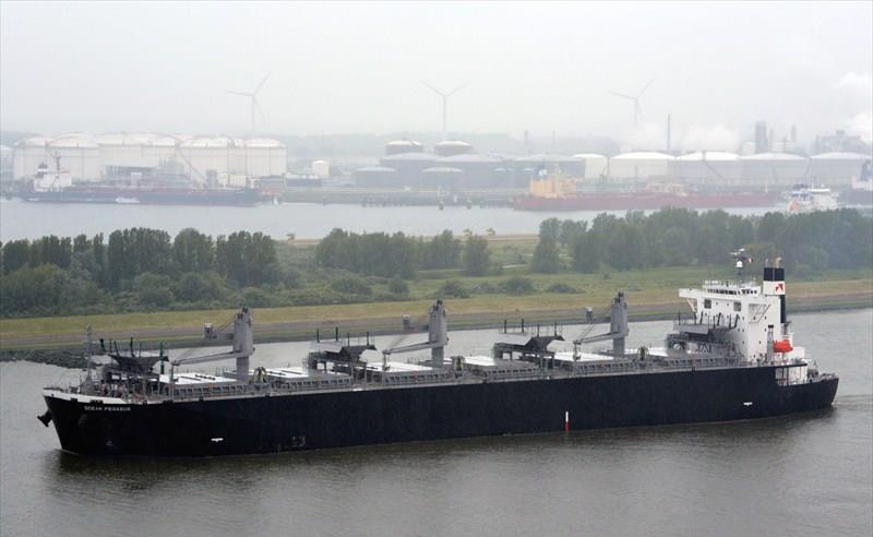 OCEAN PEGASUS - Vesseljoin