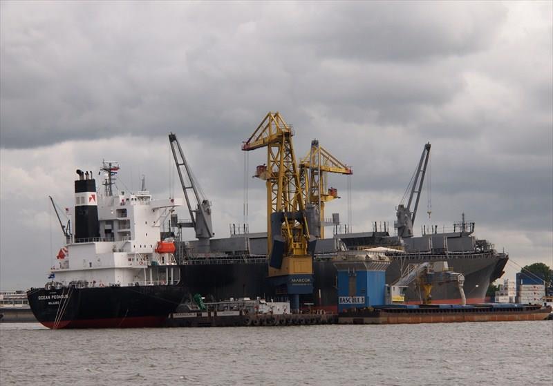 OCEAN PEGASUS - Vesseljoin