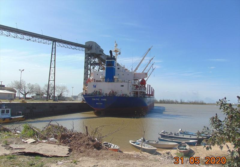 BALTIC HARE - Vesseljoin