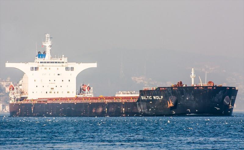 BALTIC WOLF - Vesseljoin