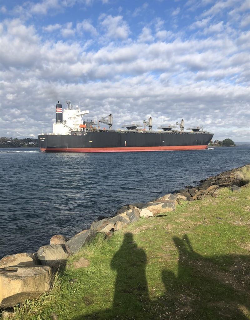 FOREST VENUS - Vesseljoin