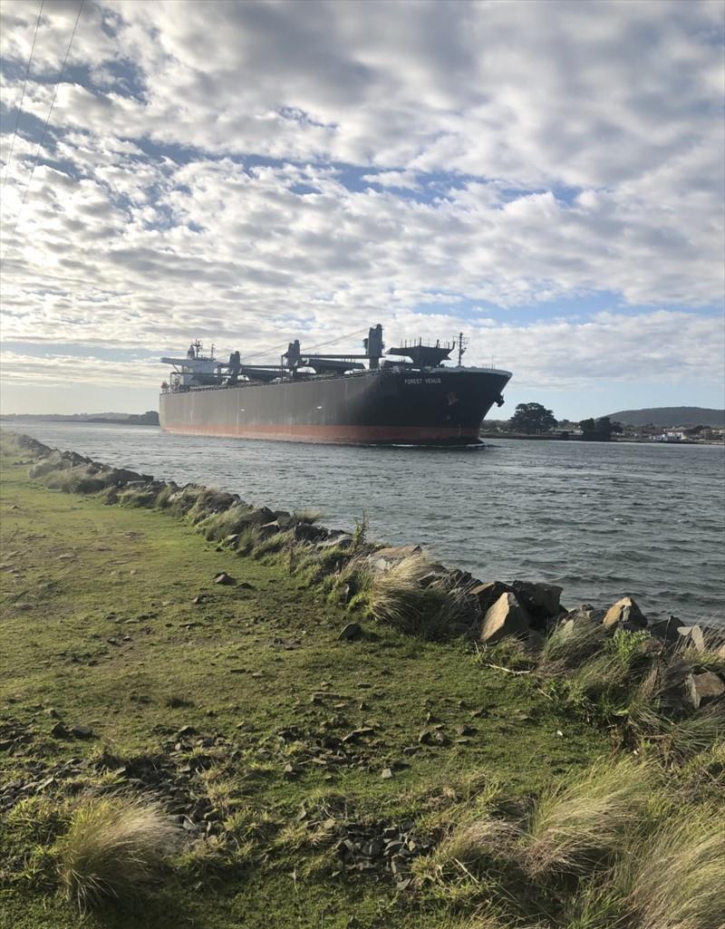 FOREST VENUS - Vesseljoin