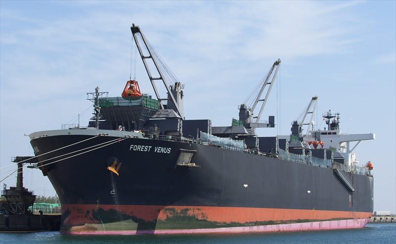 FOREST VENUS - Vesseljoin