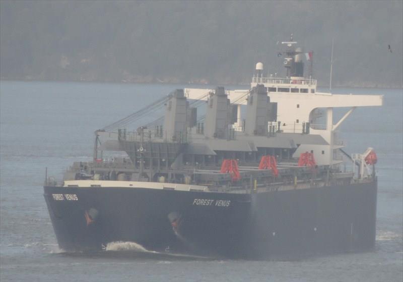 FOREST VENUS - Vesseljoin