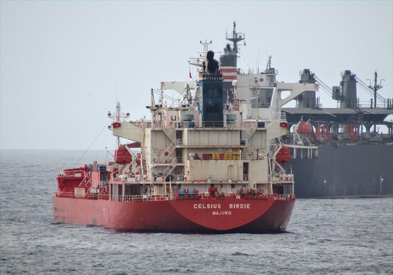 CELSIUS BIRDIE - Vesseljoin