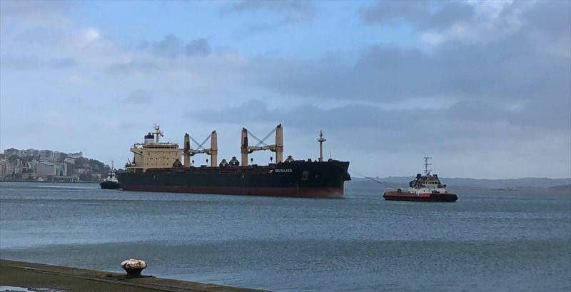 IBIS BULKER - Vesseljoin