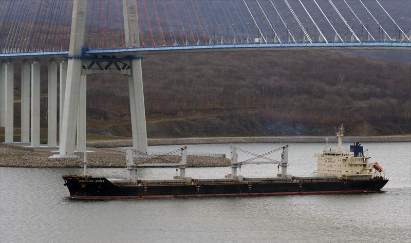 INTERLINK LEVITY - Vesseljoin