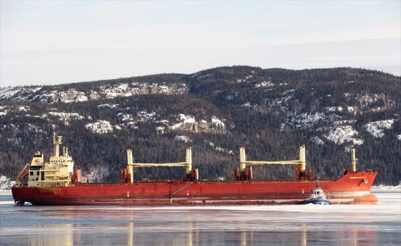 FEDERAL SPRUCE - Vesseljoin