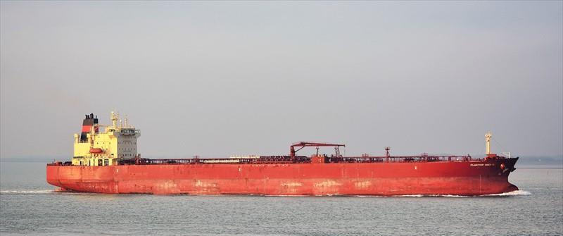 FLAGSHIP ORCHID - Vesseljoin