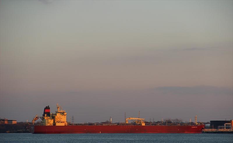 FLAGSHIP IVY - Vesseljoin