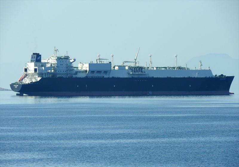 GOLAR BEAR - Vesseljoin