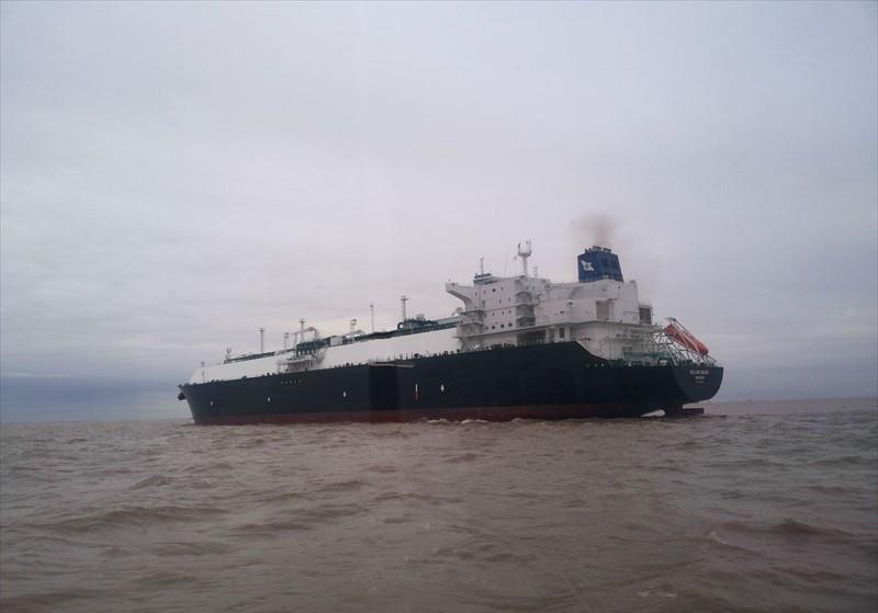 GOLAR BEAR - Vesseljoin