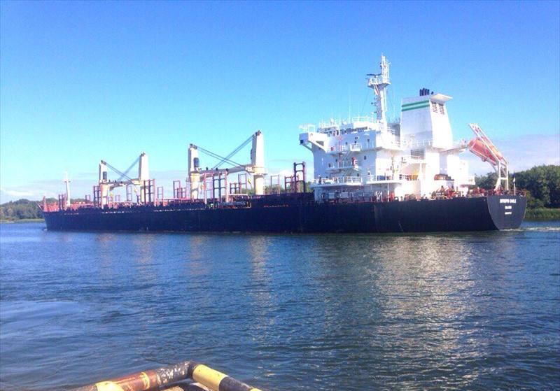 INTREPID EAGLE - Vesseljoin