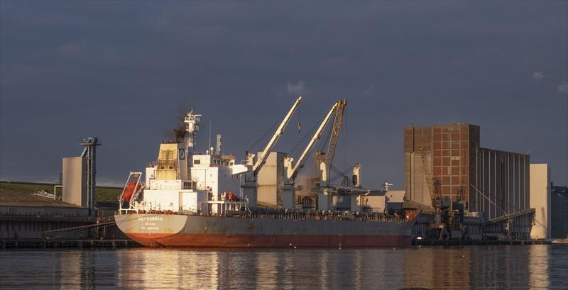 ABYSSINIAN - Vesseljoin