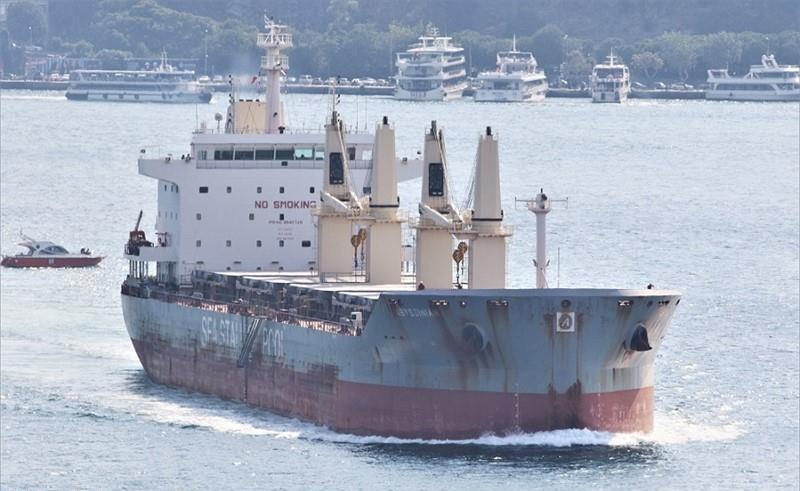 ABYSSINIAN - Vesseljoin