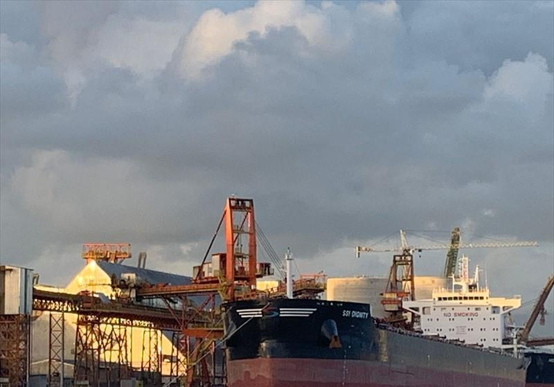 SSI DIGNITY - Vesseljoin