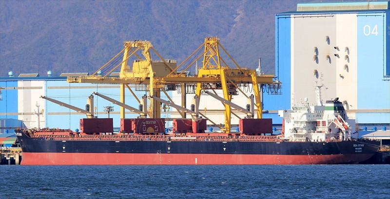 SEA STAR (Bulk Carrier) - IMO: 9624500 | Vessel Details